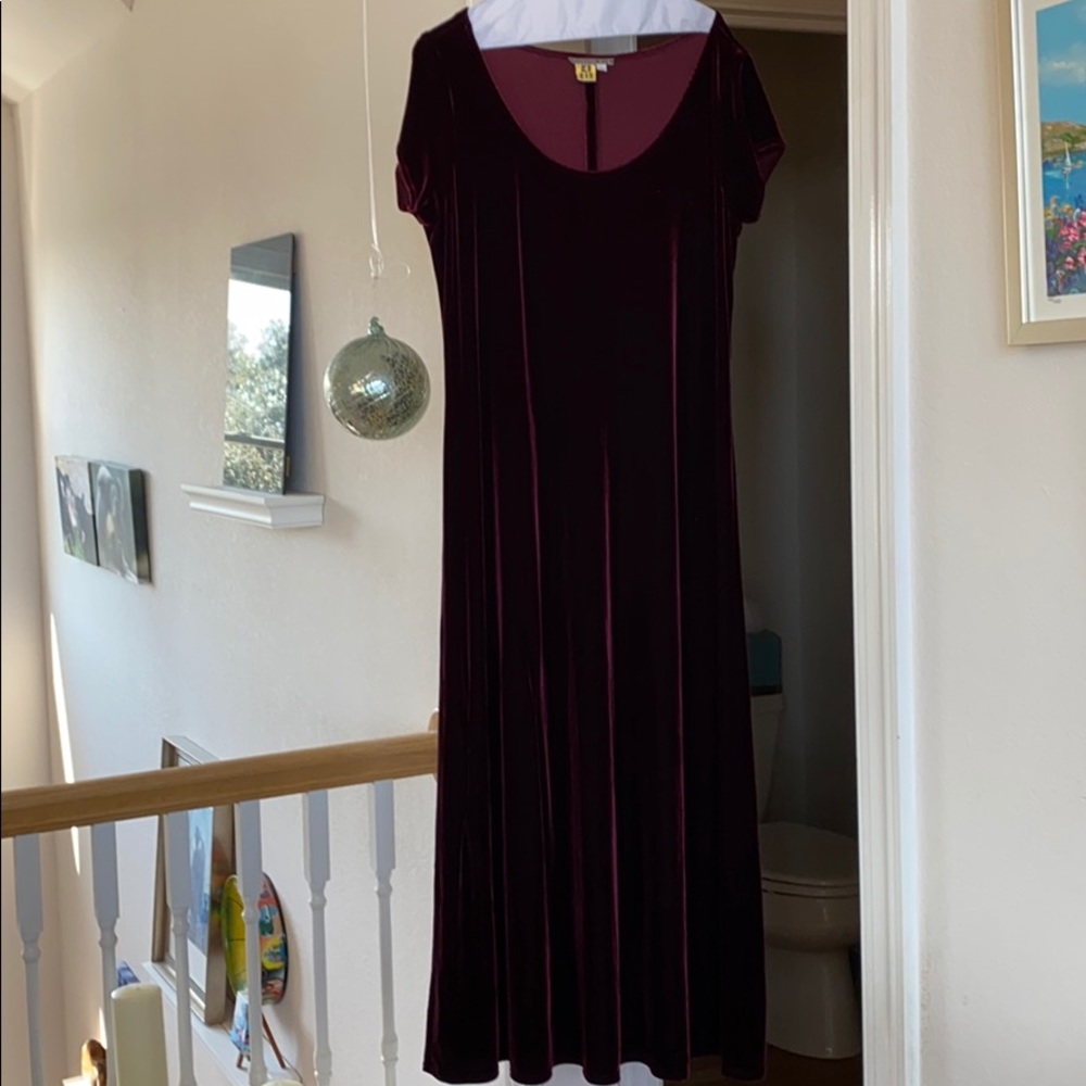 Isabella Bird Merlot Velvet-Like Maxi Dress - Gem